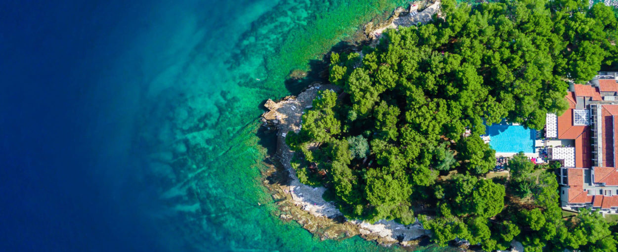 Plava Laguna Partners with IDeaS to Automate Revenue Management ...